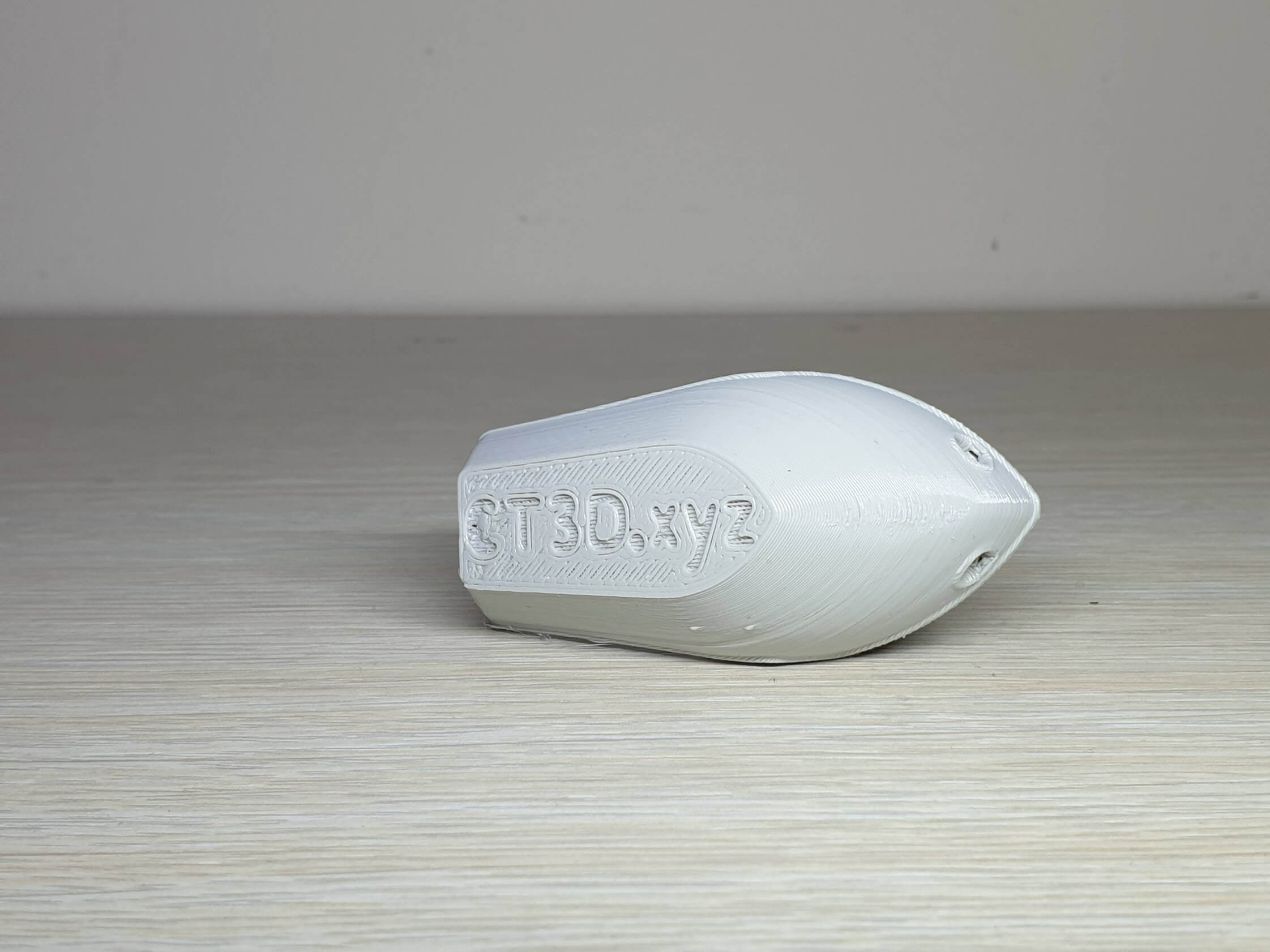 TronHoo T220s Review: Missed Opportunity | 3D Print Beginner